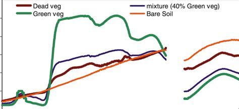 The Spectral Response Curves Of Dead Vegetation Dead Veg Green