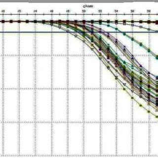 Validation Of QPCR Amplification Plots For All Groups Download Scientific Diagram