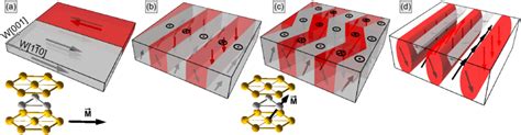 Schematic Representation Of The Thickness Dependent Magnetic Domain