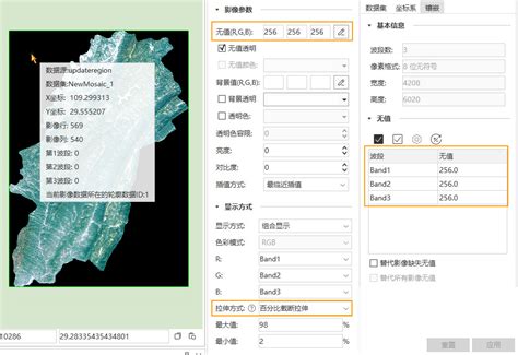 Mosaic Dataset No Value Faq