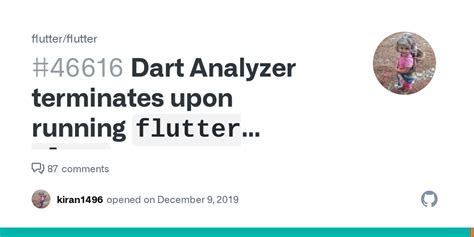 Dart Analyzer Terminates Upon Running `flutter Clean` · Issue 46616 · Flutterflutter · Github