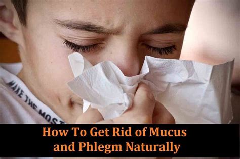 4 Ways How To Get Rid Of Mucus And Phlegm Naturally 2022