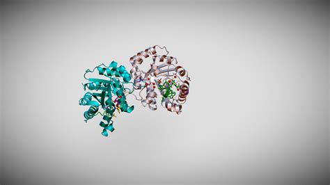 Plasmodium Falciparum Tpi Enzyme 3d Model By Jaypaku [429ceed] Sketchfab