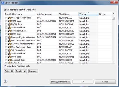 Installing Or Upgrading Packages Netiq Designer For Identity Manager Administration Guide