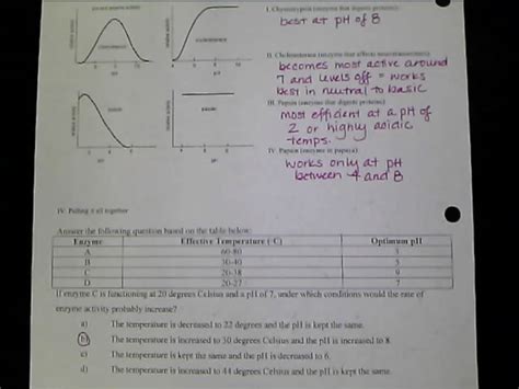Unit Cell Structure Function Biology With Ms Raynor