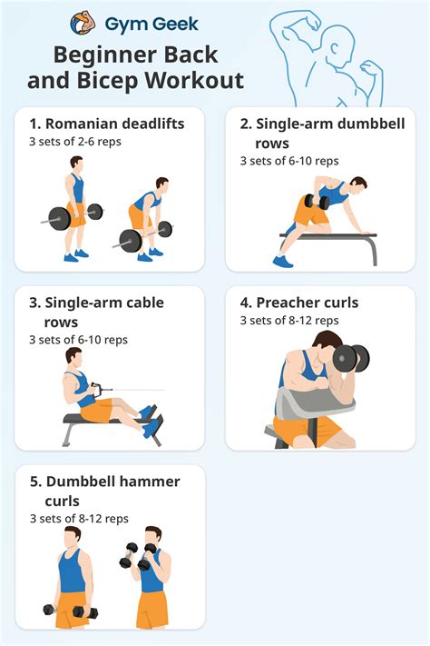 Back And Bicep Workout For Pitchers At Toni Esser Blog