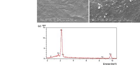 Uhmwpe Surface After Immersion In Standard Sbf Solution A Sem 5009 B Download Scientific