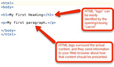 Static And Dynamic Websites WakeSites Community Documentation