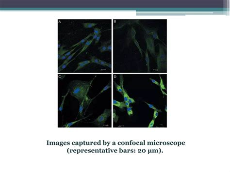 Histology Of Pulp Pptx Dental Health Diseases And Conditions