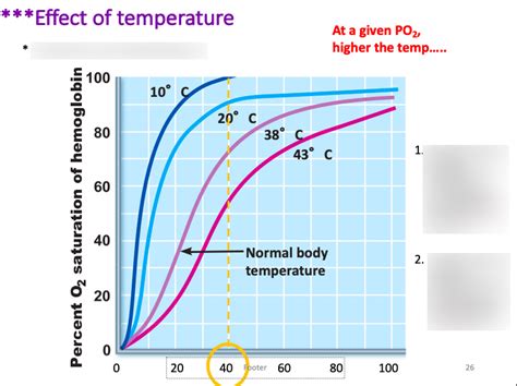 Effect Of Temperature Graph Diagram Quizlet