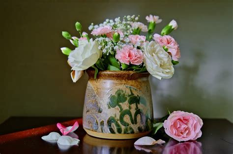 꽃들 꽃다발 카네이션 Pixabay의 무료 사진