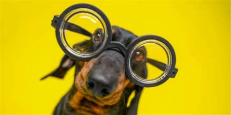 Playwright Visual Testing Dynamic Data Rahul Shetty Venkatesh