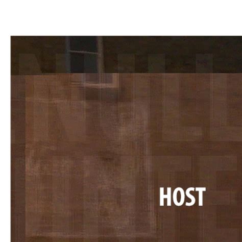 Host Null Pointer Host Free Download Borrow And Streaming Internet Archive