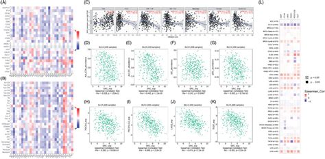Src Correlate With Immune Cell Infiltrations Pan Cancers Download Scientific Diagram