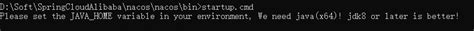 Nacos启动遇到的错误constructor Threw Exception Nested Exception Is E Csdn博客