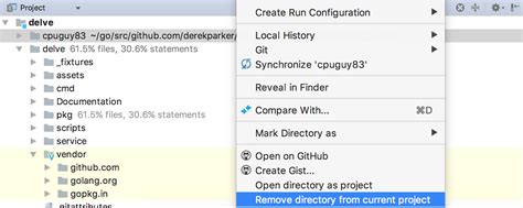 Goland Eap 19 Docs In Param Info Coverage For Multiple Packages