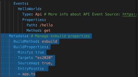 omid eidivandi on linkedin building typescript projects with aws sam