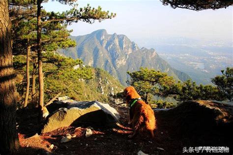 薩克斯團隊探廬山今年一場雪 每日頭條