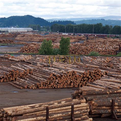 Is Jm Browning Logging Still In Business Deals