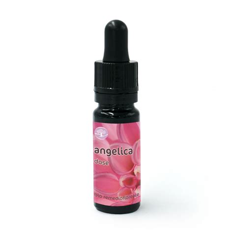 Angelica: rimedio floriterapico per spiritualità | Remedia