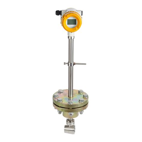 Insertion Vortex Flowmeter DOPPEL Flowmeter