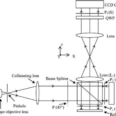 pdf polarization phase shifting interferometric technique for phase