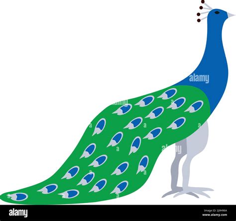 Peacock Exotic Bird Stock Vector Image And Art Alamy