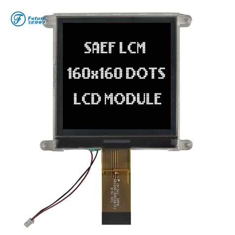 Custom FSTN Positive Cog 160 160 Graphic LCD Display Liquid Crystal Module Graphic China LCD