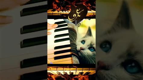 عزف أغنيه فينك يا حبيبي يا دنيتنا محمد منير Youtube