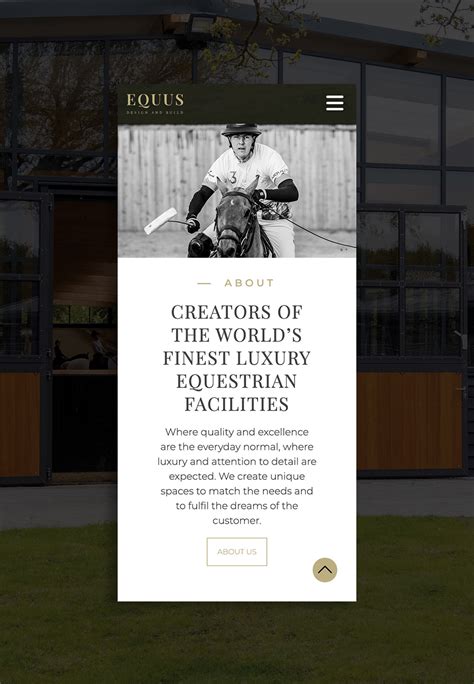 Equus Case Study Treacle Media