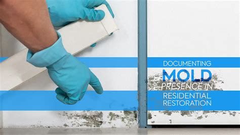 Best Practices For Documenting Mold Presence In Residential Restoration