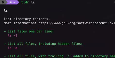 Final Thoughts Discover New Commands And Inspiration For More Your