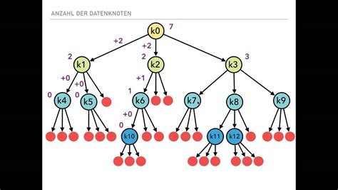 Informatik 11 Anzahl Der Datenknoten Für Einen Allgemeinen Baum