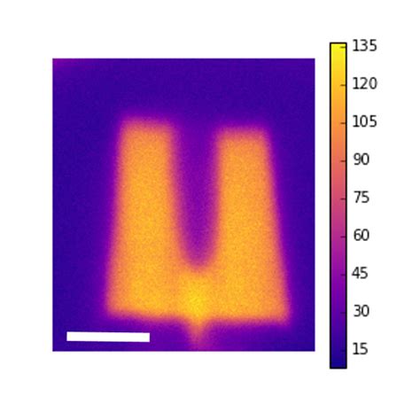 23 A Unfiltered Grayscale Intensities Extracted From The Sem Image