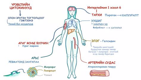 Зүрх судасны төв