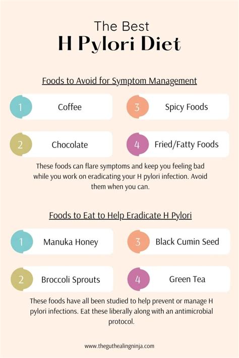 The Best H Pylori Diet To Manage Symptoms The Gut Healing Ninja