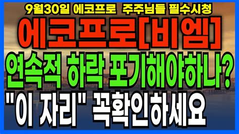 에코프로비엠 주가전망 연속적하락 이유는 이것때문 주가반등은 확실하나 체크해야될 포인트 몇가지 꼭 확인하세요 Youtube