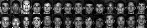 Examples Of Extended Yale B Database Face Images Download Scientific