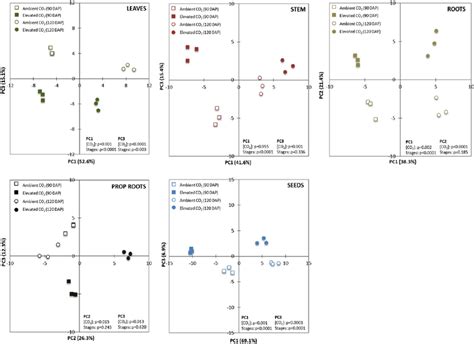 Pca Of The Metabolites Identified By Lc Msms Of Leaves Culm Roots