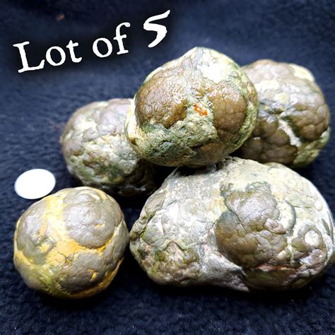 Lot Of 5 Small Thunder Eggs Whole Mystery Stone Dan Hurd Prospecting