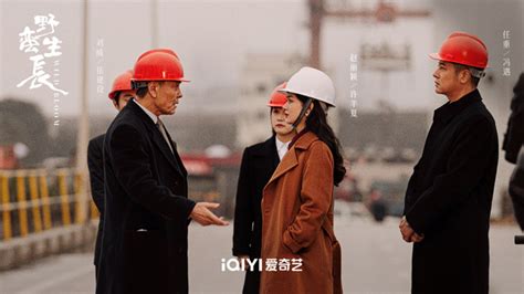 电视剧风吹半夏是根据什么改编的 影视动态 陪你看剧情网