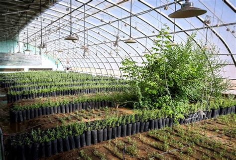 “ТЭРБУМ МОД” ХӨДӨЛГӨӨНИЙ ХҮРЭЭНД ХИЙСЭН АЖЛЫН ЯВЦТАЙ ТАНИЛЦЛАА