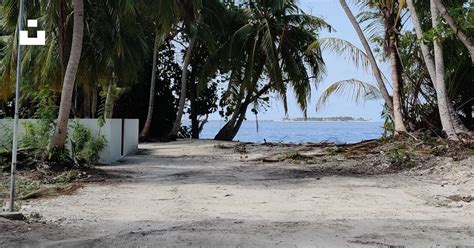 야자수와 바다를 배경으로 한 모래 해변 사진 Unsplash의 무료 몰디브 이미지