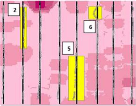 Identified Errors Of Straight Line Accuracy Of Autopilot Tractor Passes