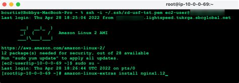 installing nginx on aws ec2 instance dbasolved