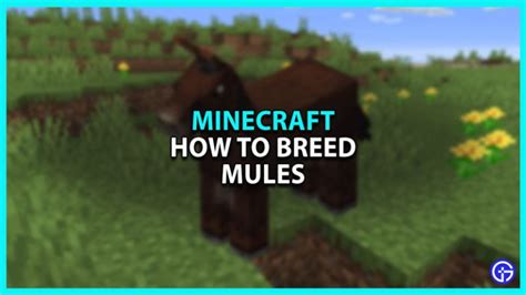 How To Breed And Get Minecraft Mules Gamer Tweak