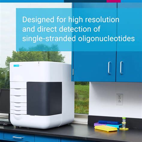 Ad Fast Purity Analysis Of Ssrna And Ssdna Oligonucleotides Addressing Any Sample Throughput
