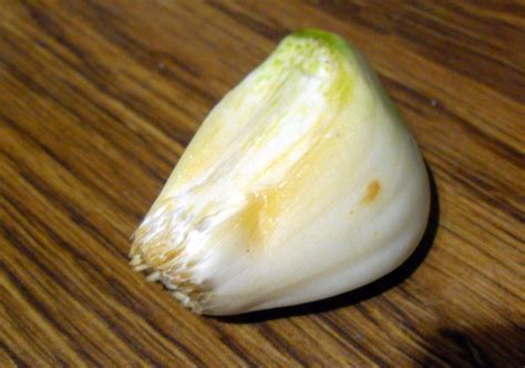 Acua Fría: El Ajo