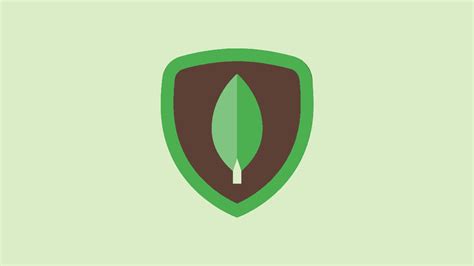 Cómo instalar MongoDB en Ubuntu 20 04