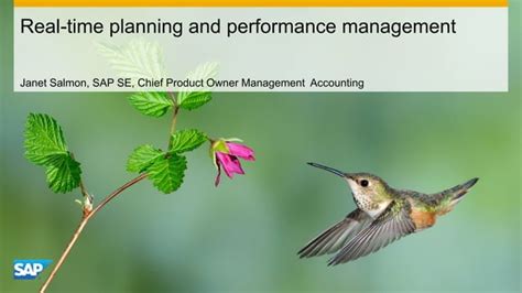 Sap Bpc Models Comment Ce Real Time Planning And Performance Management 1 Pdf Stocks